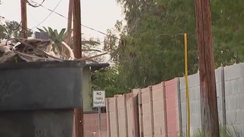 Volunteers in Phoenix clean up 27th Avenue: 'It brings revitalization ...