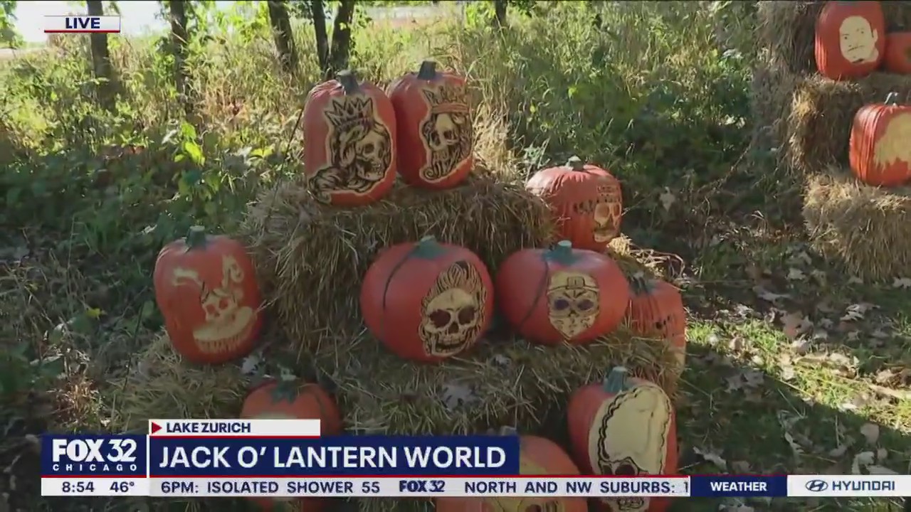 More pumpkins than you can count at The Jack O'Lantern World in Lake ...