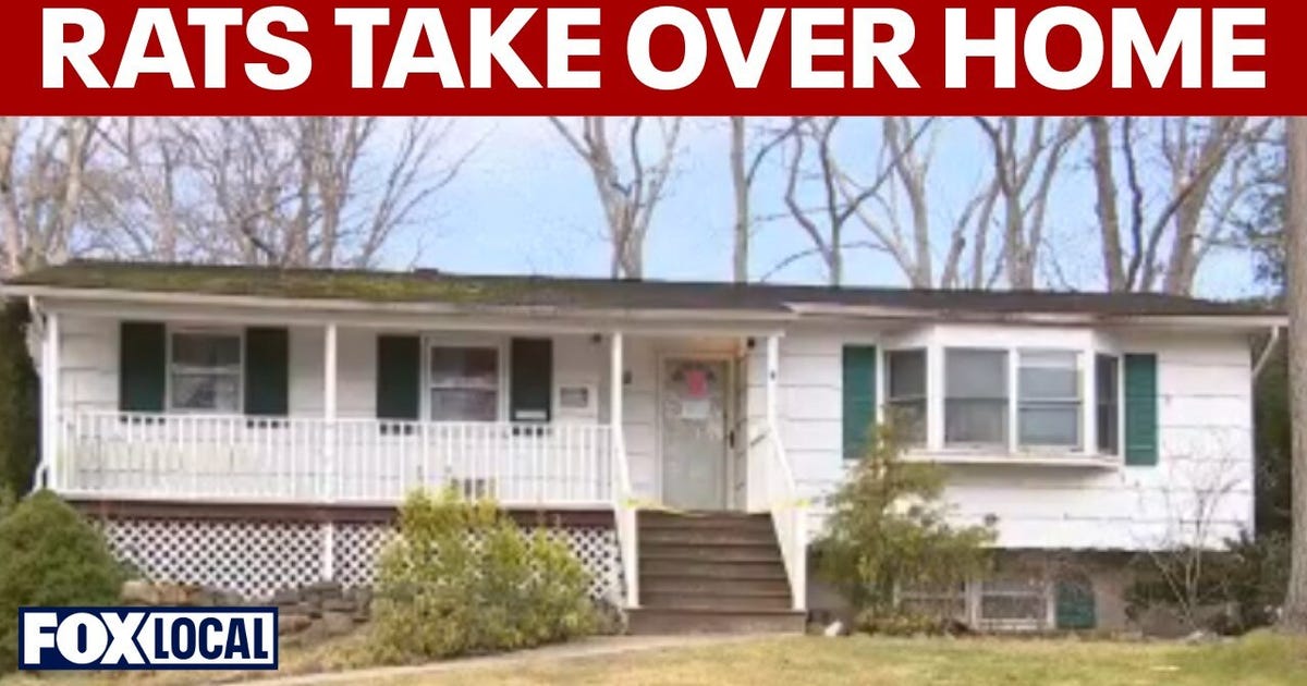 Hundreds of rats took over this Long Island home | FOX 5 New York