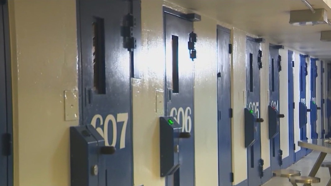 Protest over conditions at Fulton County Jail | FOX 5 Atlanta