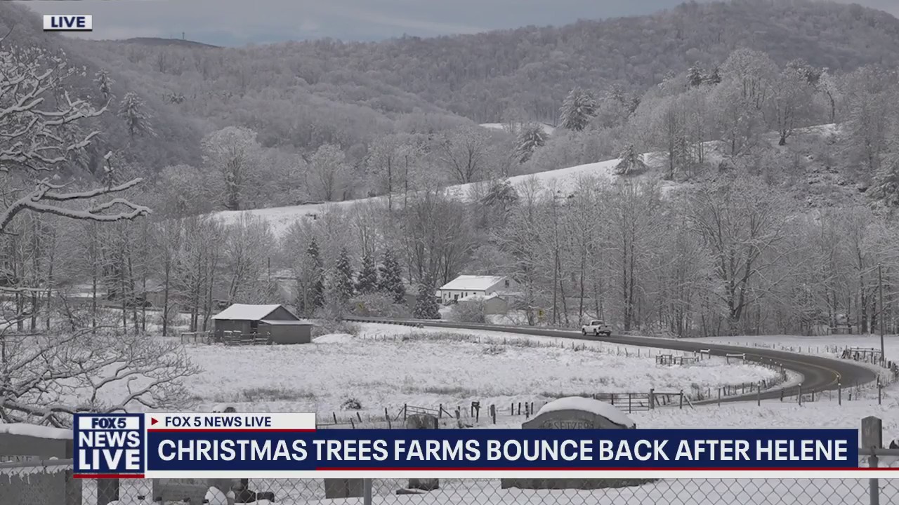 Hurricane Helene's holiday impact a year later | FOX 5 Atlanta