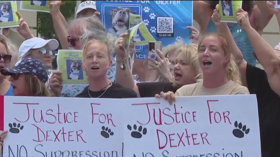 'Justice for Dexter' rally as suspect faces judge | FOX 13 Tampa Bay
