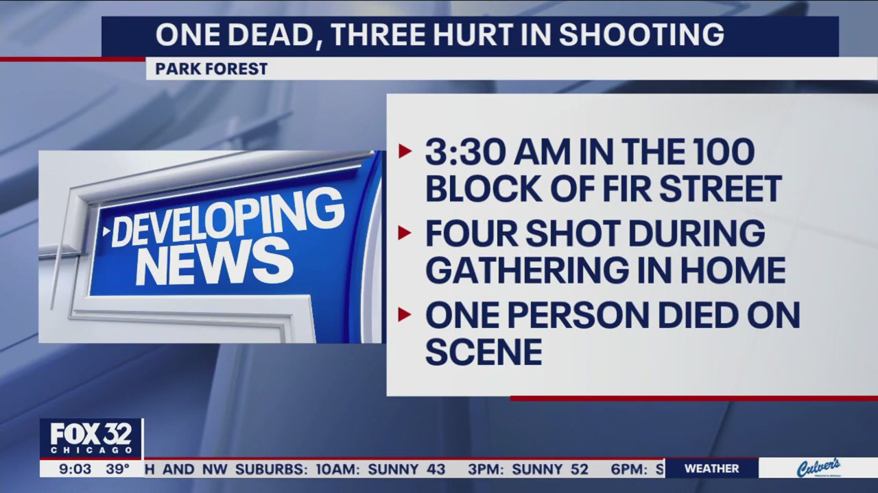 1 killed, 3 wounded in Park Forest shooting | FOX 32 Chicago