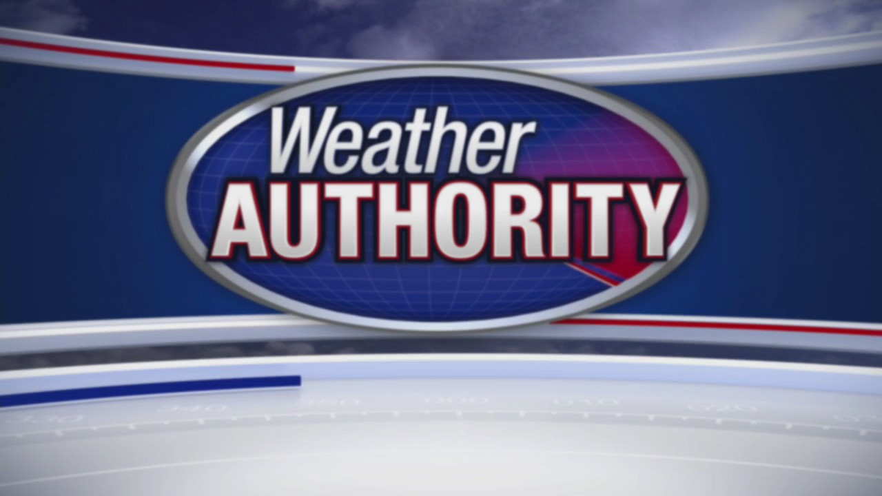 Meet Ryker! | FOX 2 Detroit