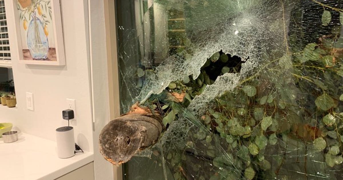 Tree crashes through kitchen window of Scottsdale home | FOX 10 Phoenix