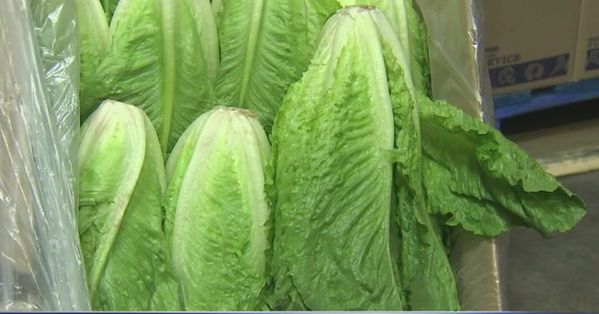 UofA scientists to study Yuma lettuce outbreak | FOX 10 Phoenix