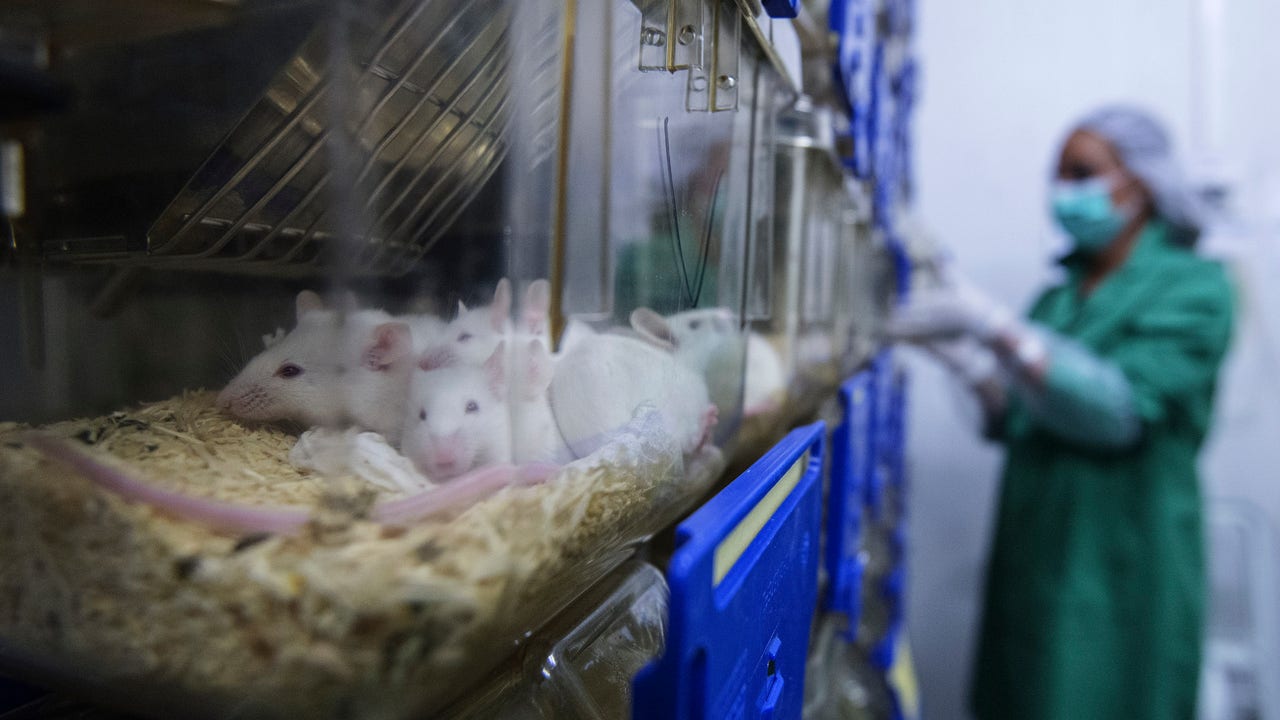 EPA says it will drastically reduce animal testing | FOX 10 Phoenix
