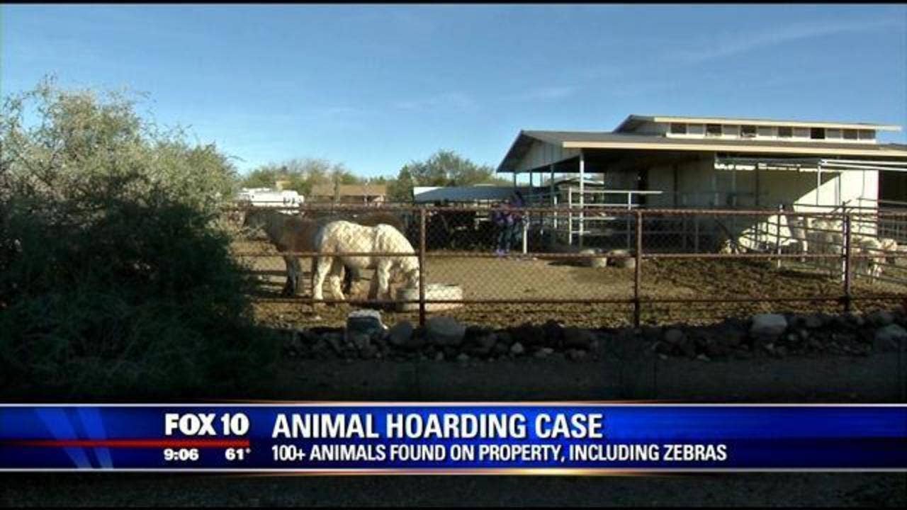 Former Phoenix police officer arrested in animal hoarding case | FOX 10 ... Former Phoenix police officer arrested in animal hoarding case | FOX 10 ...