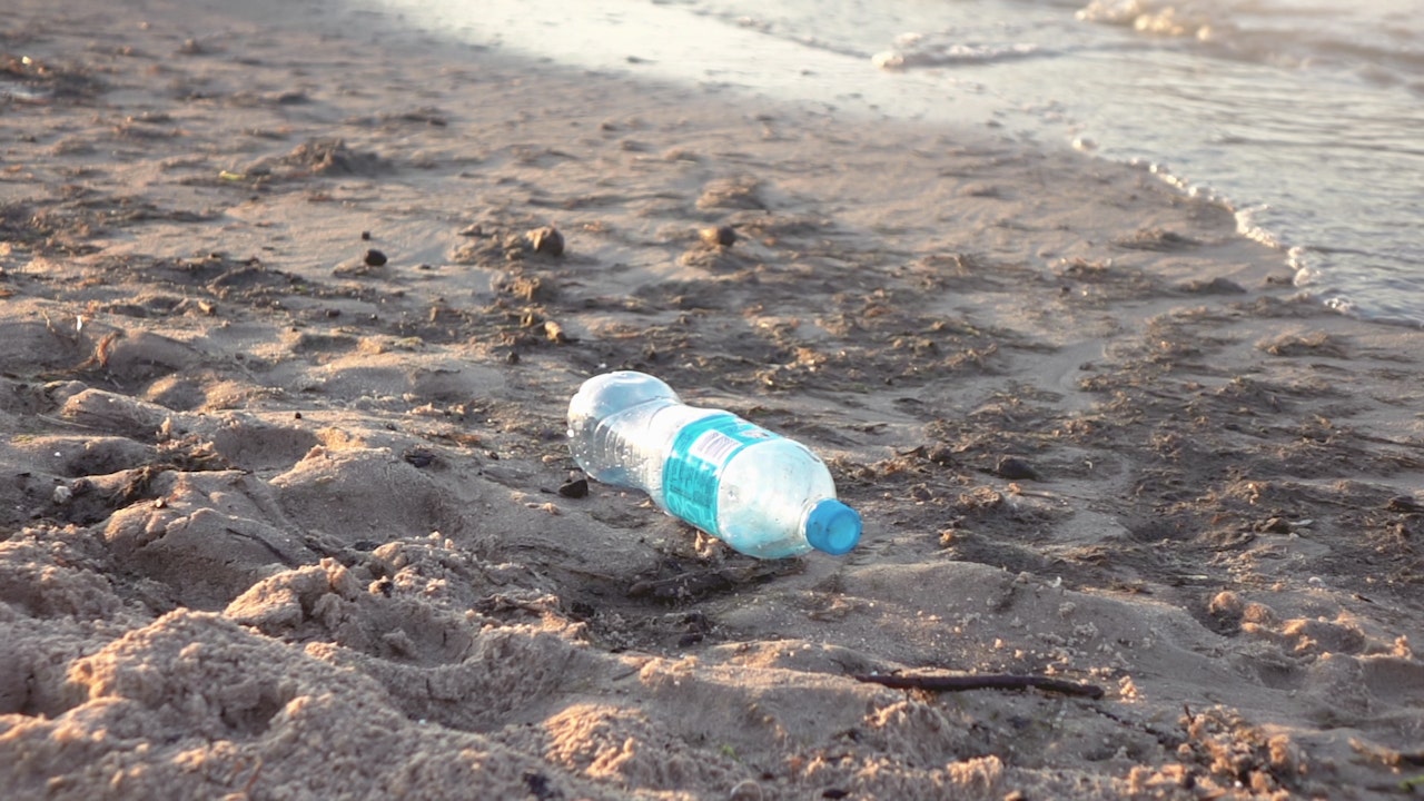 How to help fight plastic pollution for World Environment Day | FOX 10 ...