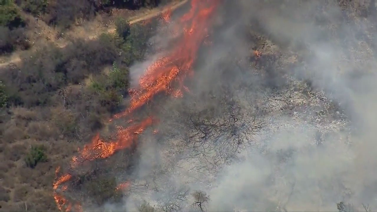 Brush fire burns 25 acres; prompts closure of Griffith Observatory ...