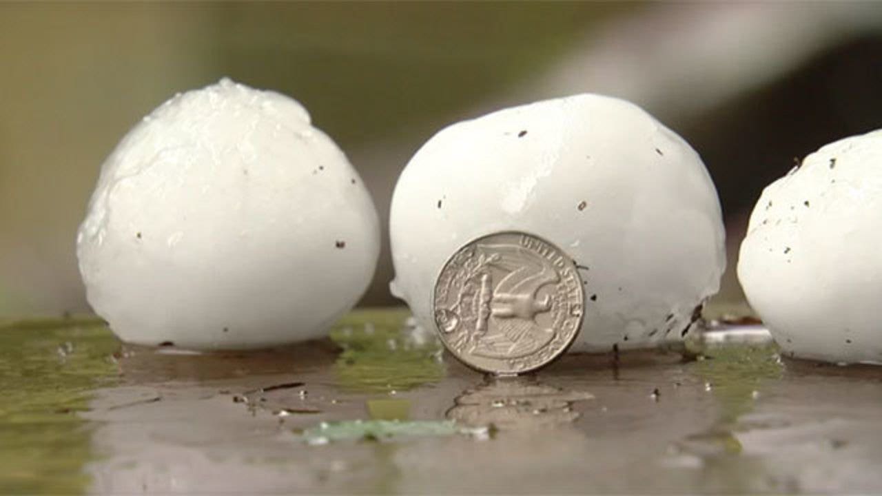 Hail hurts 14 people, kills 2 birds at Colorado zoo | FOX 10 Phoenix