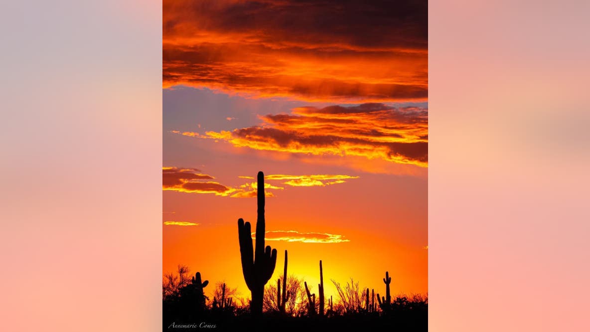 8 years later, Arizona remembers 19 Granite Mountain Hotshots who died ...