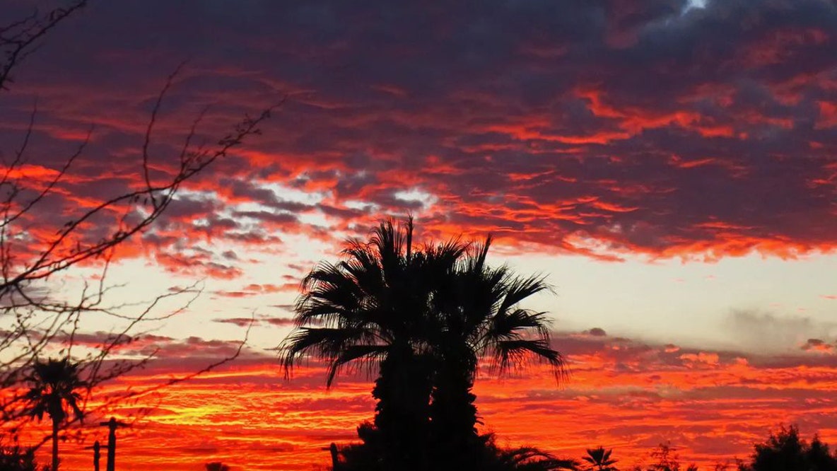 Arizona DES launches Emergency Rental Assistance Program to provide ...