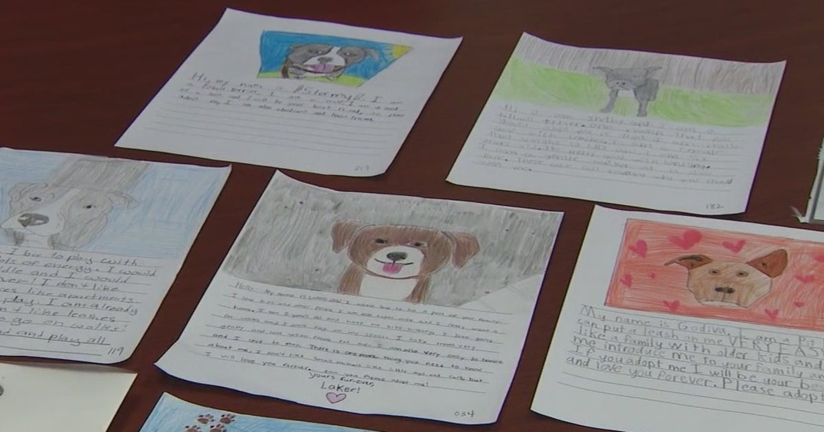 Pet project: Mesa students write letters convincing people to adopt ...