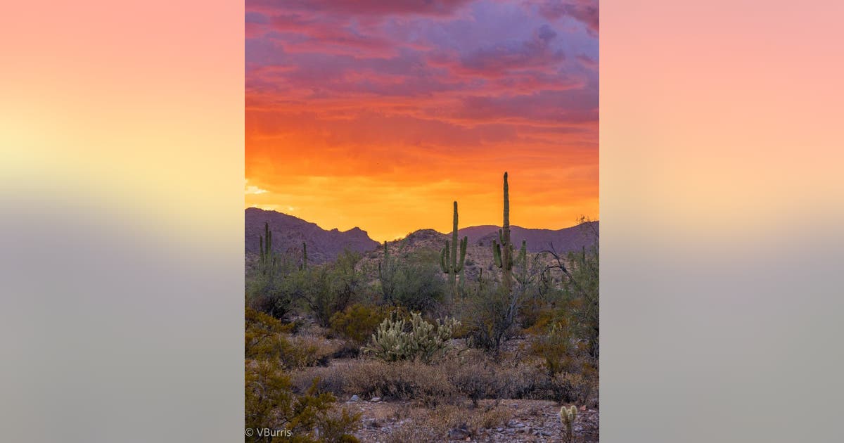 Arizona Photo of the Day - June 2022 | FOX 10 Phoenix