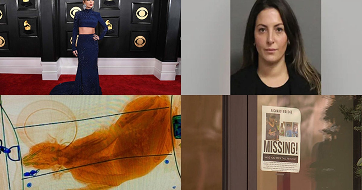 Lunch lady in major trouble, cat gets TSA X-ray, inappropriate ...