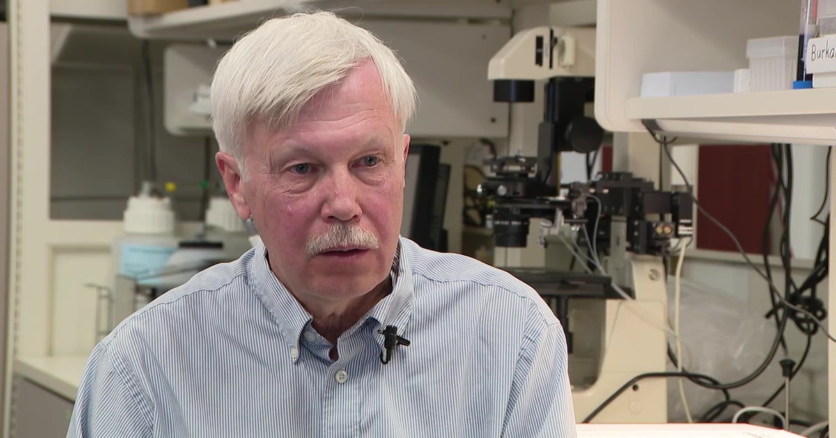 Meet Mayo Clinic's Dr. Sergei Ochkur, Arizona's only certified pollen ...