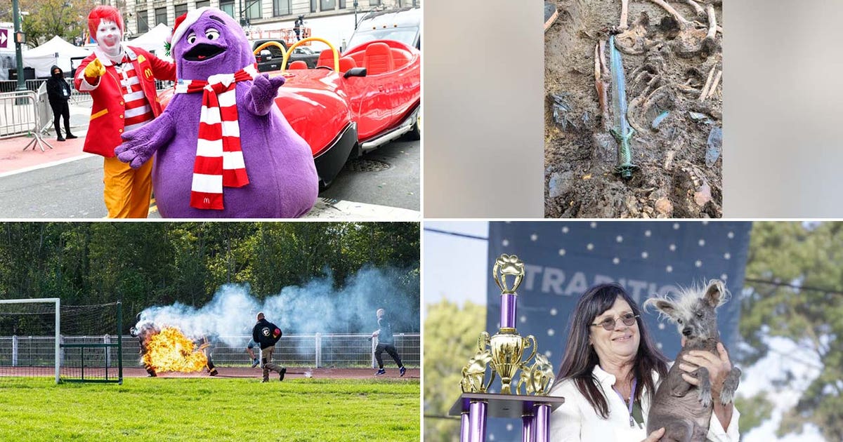 3,000-year-old sword unearthed, world's ugliest dog, Grimace shake ...