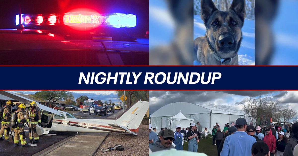 WM Phoenix Open leaves fans upset; small plane crash lands in Goodyear ...