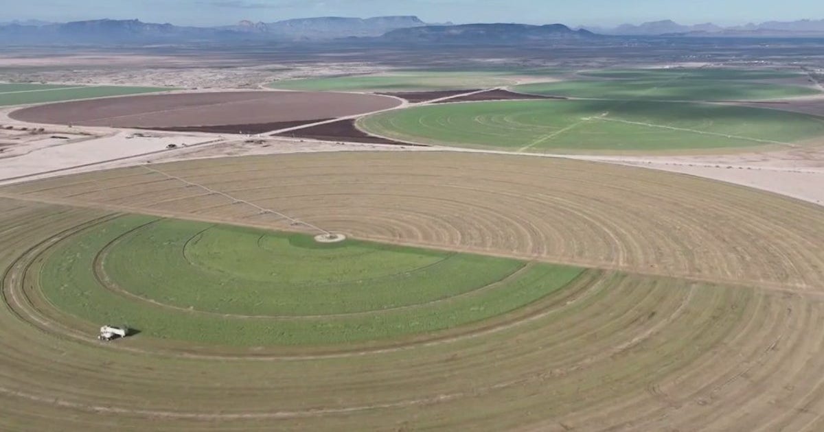 A Saudi business is leaving Arizona valley after it was targeted by the ...