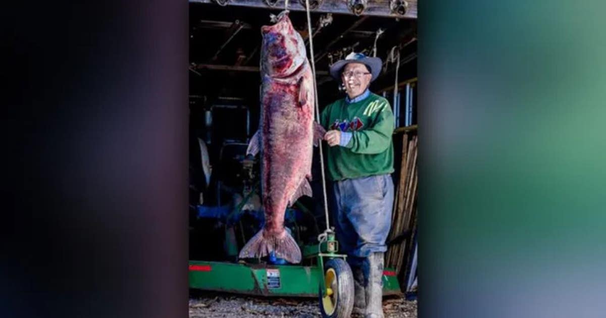 Missouri angler's 97-pound bighead carp breaks world record: ‘You’ve ...