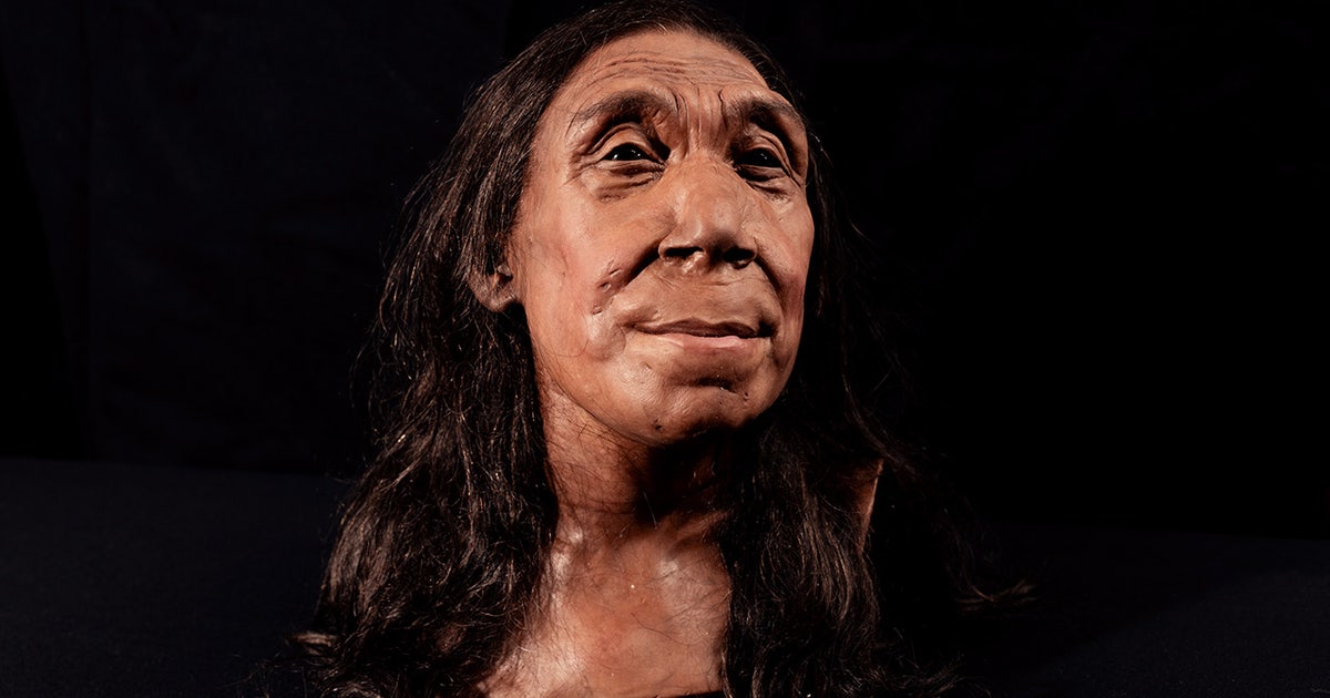 Reconstructed face of 75,000-year-old Neanderthal woman revealed | FOX ...