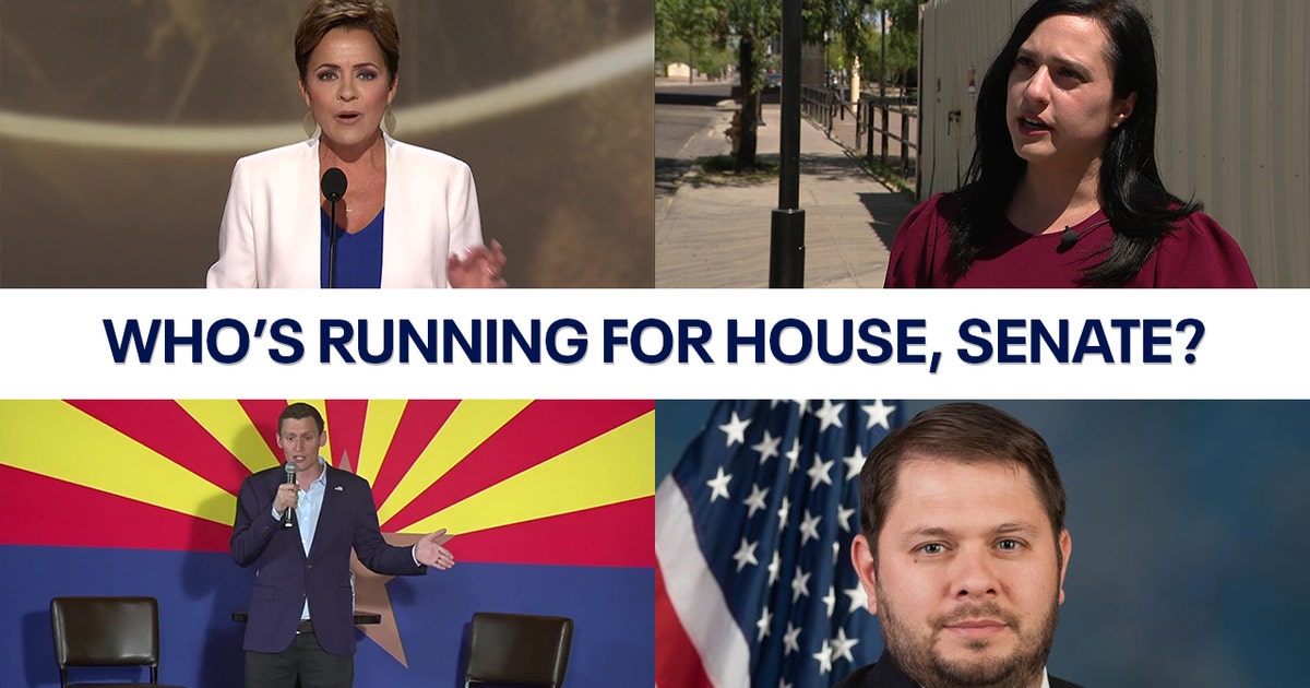 2024 Election: Here's who's running for Congress, Senate in Arizona ...