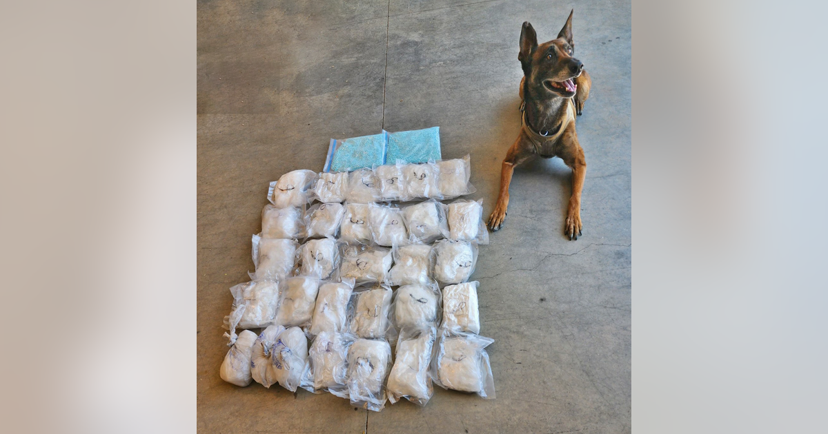 Fentanyl drug bust in Prescott leads to 2 arrests thanks to police K9 ...