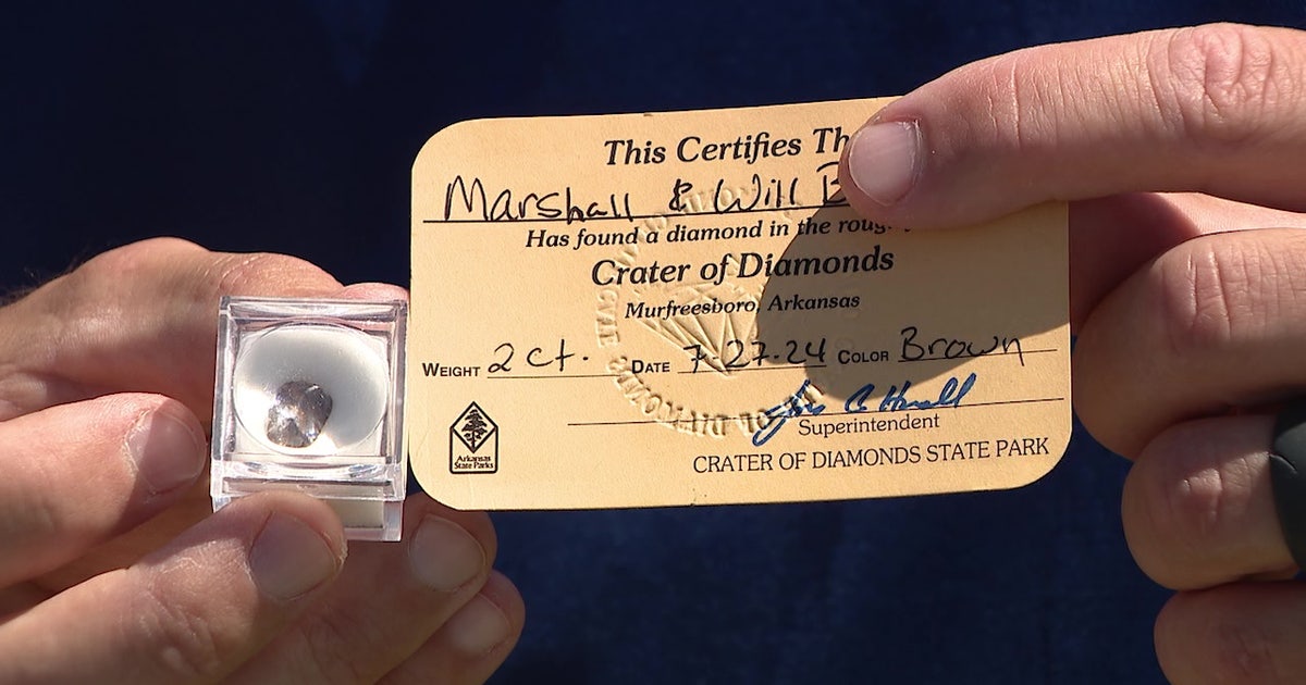 Arizona father and son finds 2 carat diamond while digging at Arkansas ...