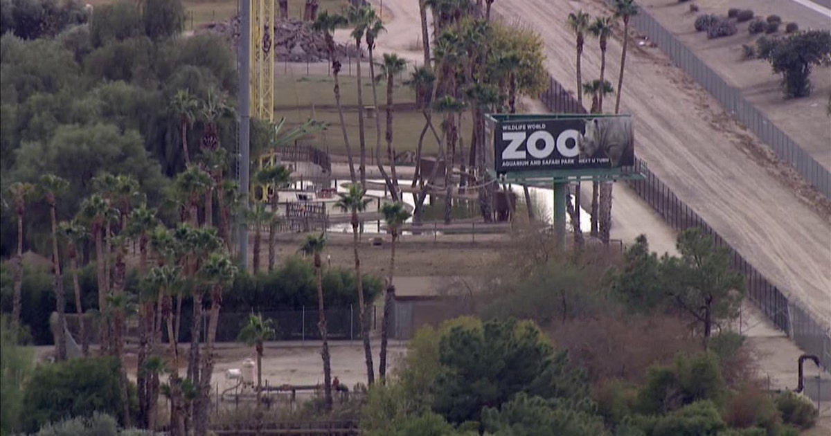 5 animals die following bird flu infections at Wildlife World Zoo ...