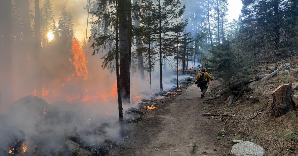 Horton Fire: 8,000 acres burned northeast of Payson | FOX 10 Phoenix