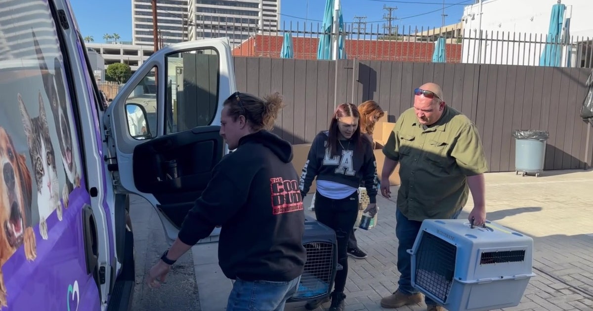 California wildfires: Arizona volunteers help clear LA area shelters to ...