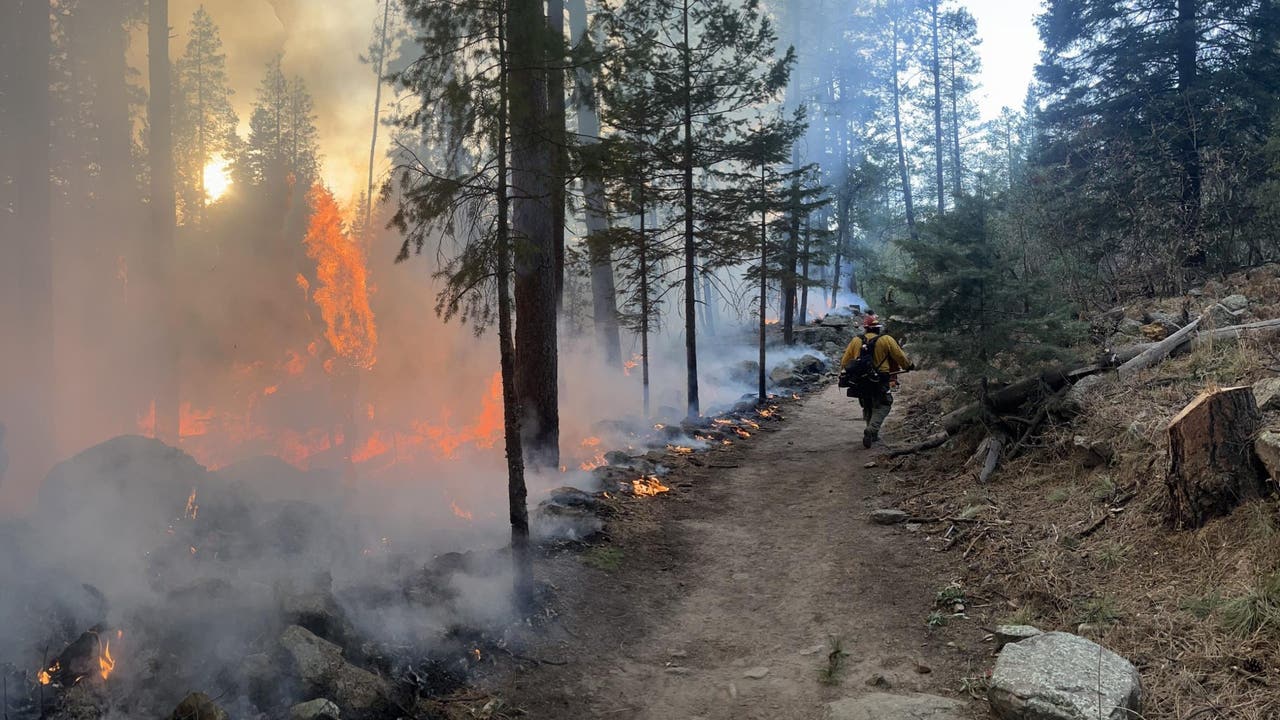 Horton Fire: 8,000 acres burned northeast of Payson | FOX 10 Phoenix