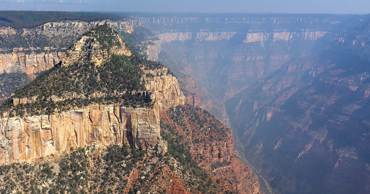 New photos of the Grand Canyon show Dragon Bravo Fire devastation | FOX ...