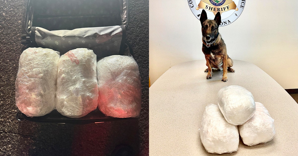 Nearly 30 pounds of meth found during northern Arizona traffic stop ...