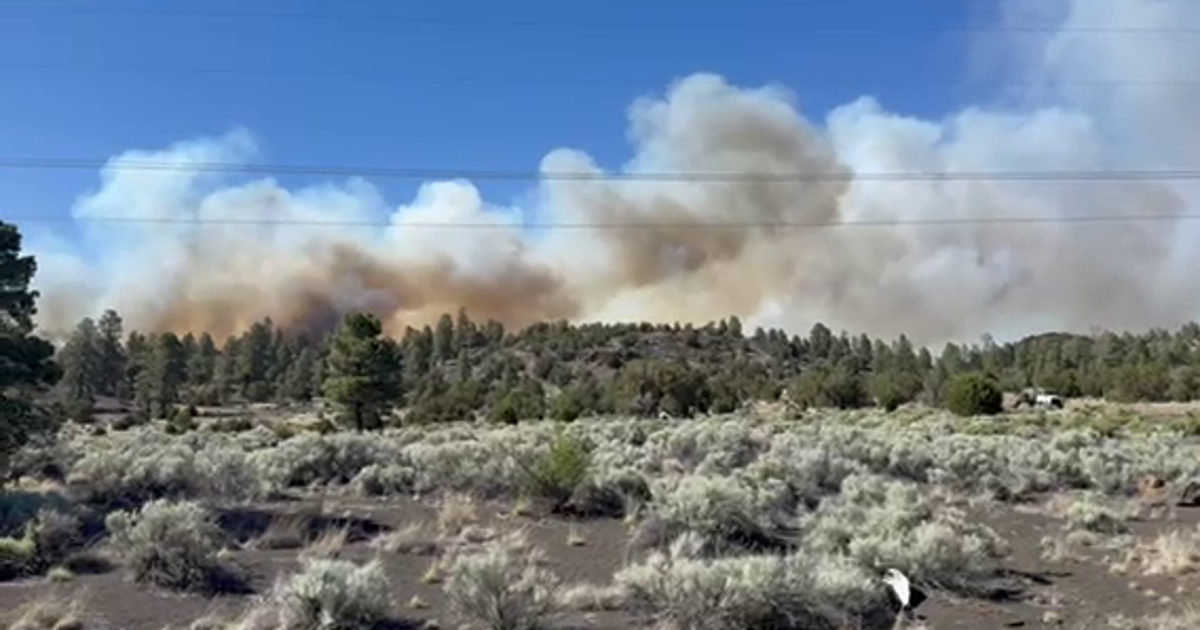 Flagstaff Papa Fire burns 100+ acres during Red Flag Warning | FOX 10 ...