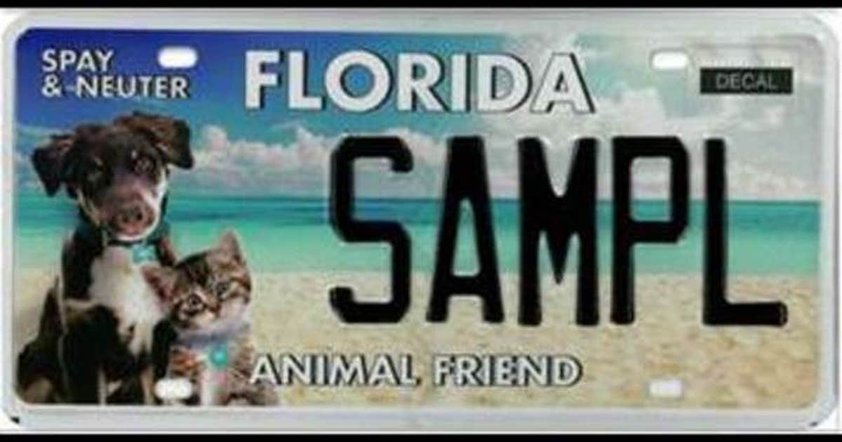 DHSMV releasing redesigned Animal Friend specialty license plate | FOX ...