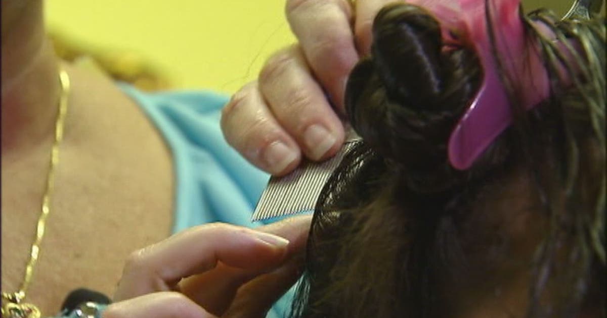 Fighting lice with a fairy -- the 'Nit Fairy' | FOX 13 Tampa Bay
