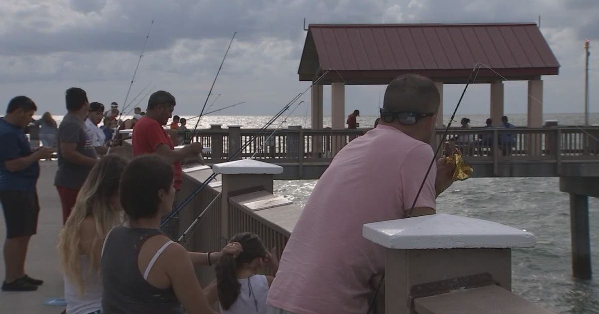 FWC seeks input on shore-based shark fishing rules | FOX 13 Tampa Bay