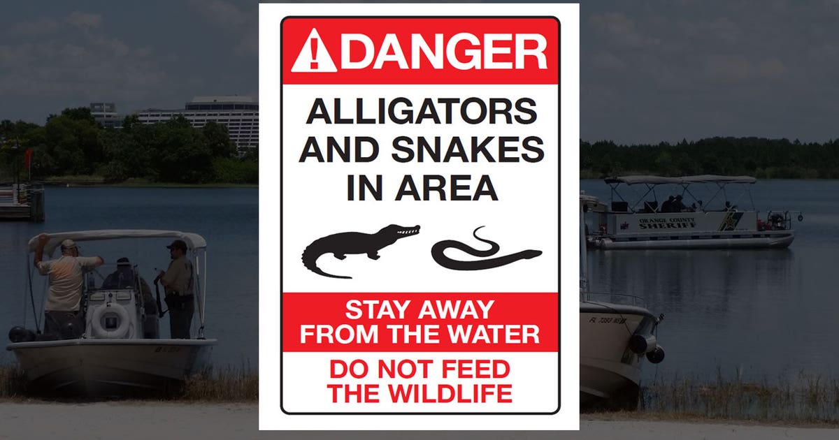 Disney adding signs warning of alligators, snakes | FOX 13 Tampa Bay