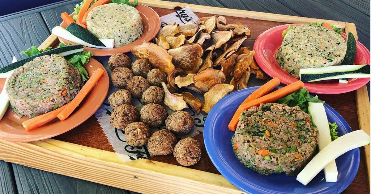 Ferg's Dog Park and Grill has menu just for dogs | FOX 13 Tampa Bay