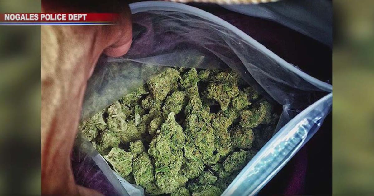 Falling bundle of marijuana drops on Nogales home | FOX 13 Tampa Bay
