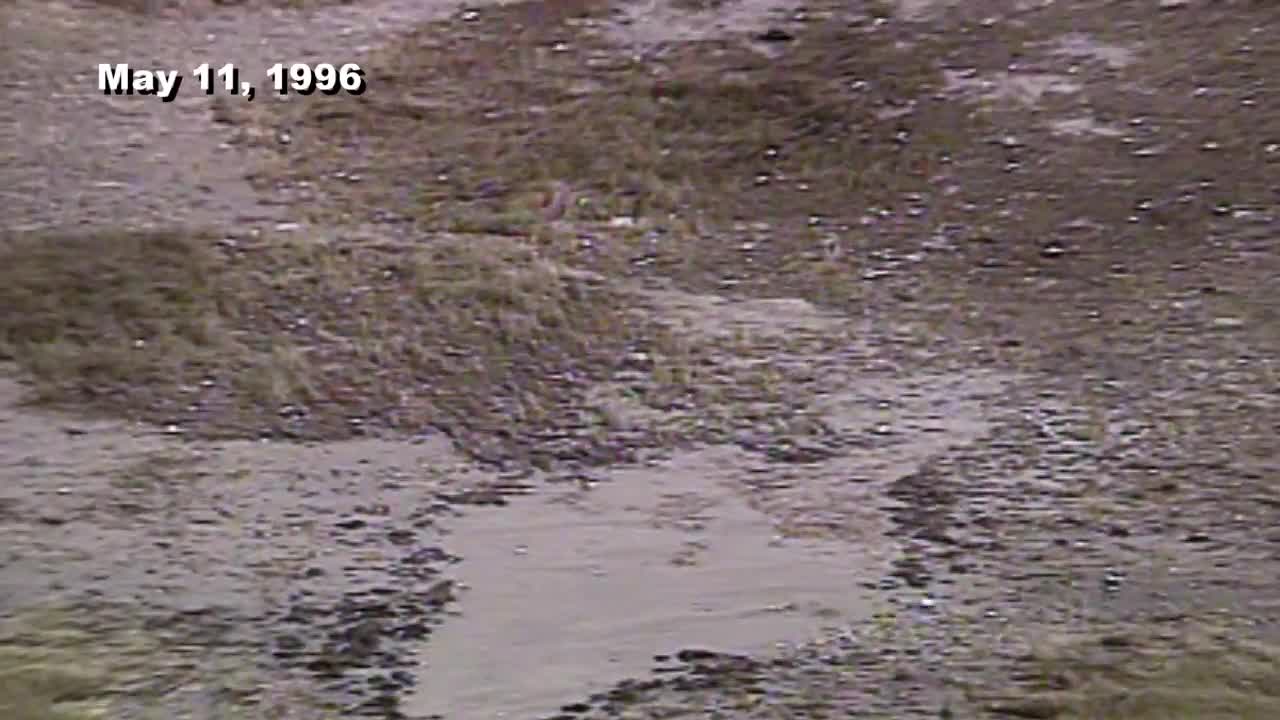 Families seek closure, gather 20 years after ValuJet crash | FOX 13 ...