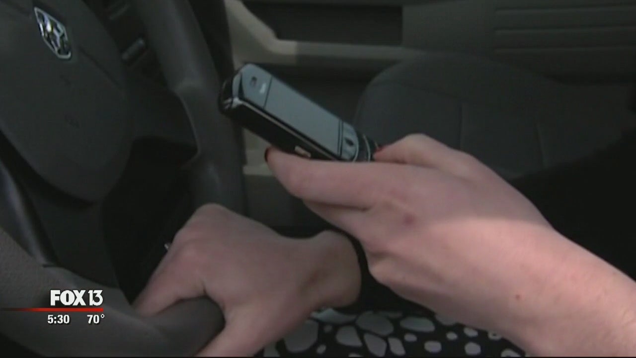Proposed bill makes texting and driving primary offense | FOX 13 Tampa Bay