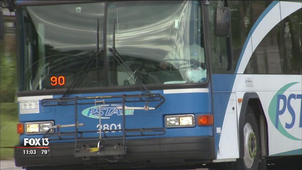 PSTA bus driver punched in face over $2.25 fare | FOX 13 Tampa Bay