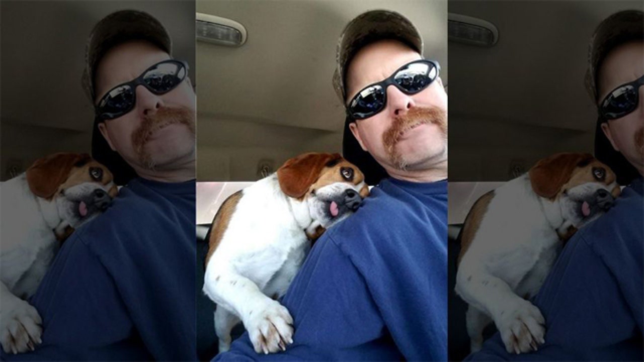 Ohio shelter dog's 'freedom ride' photo goes viral | FOX 13 Tampa Bay