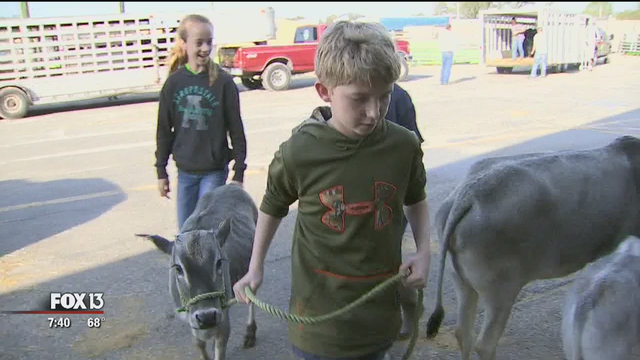 Extraordinary Ordinary: The fair's first female leader | FOX 13 Tampa Bay