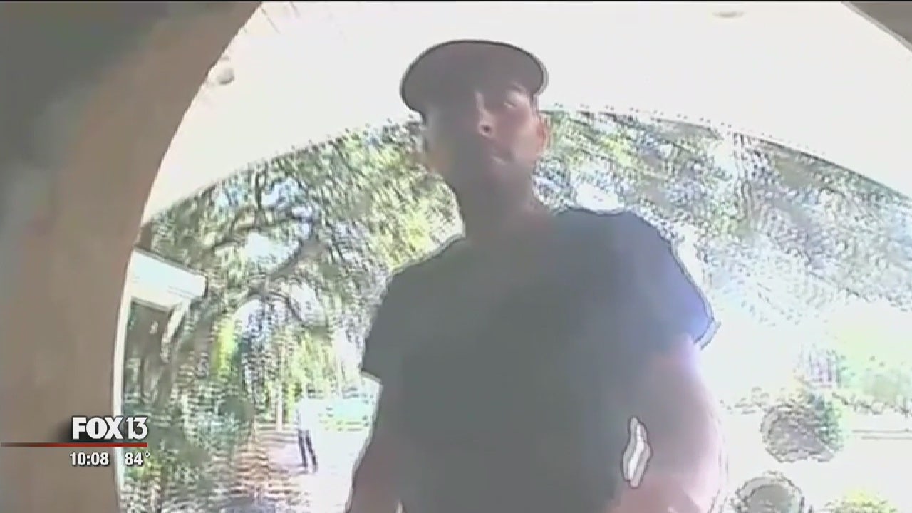 Serial Burglar Hitting South Tampa Homes Fox 13 Tampa Bay