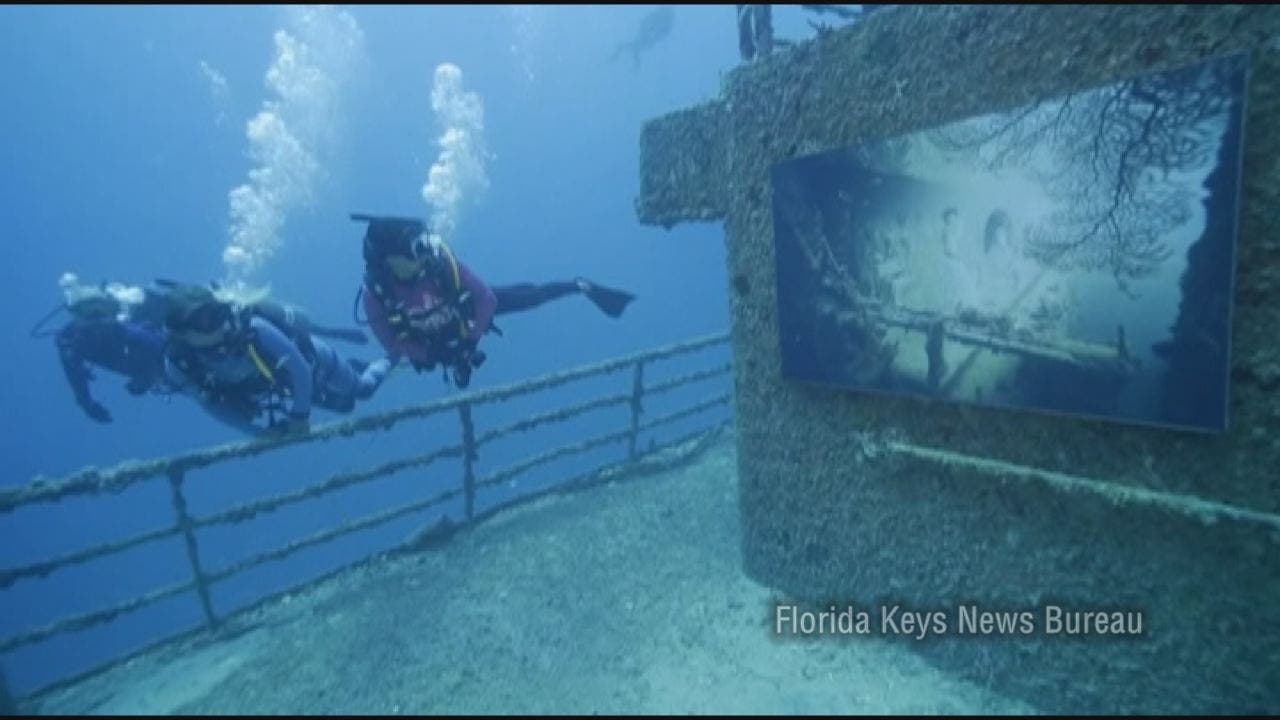 Art exhibition goes deep -- underwater