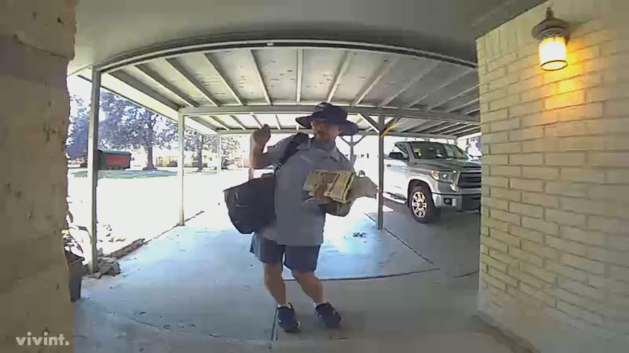 Texas mailman caught on video dancing during delivery | FOX 13 Tampa Bay